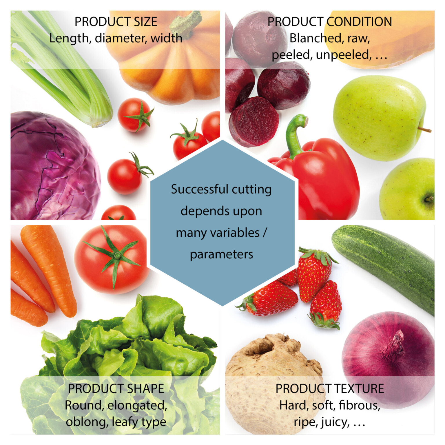Fresh vegetables